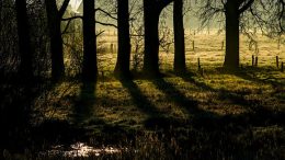 Unterschiedliche Riemenarten Mauern & Bauen ⋆ Heimwerker Tipps